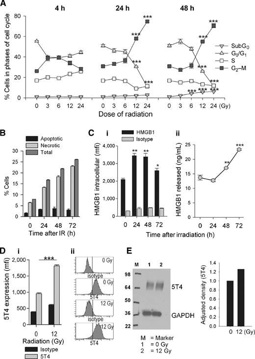 Cross-Presentation of the Oncofetal Tumor Antigen 5T4 from Irradiated ...