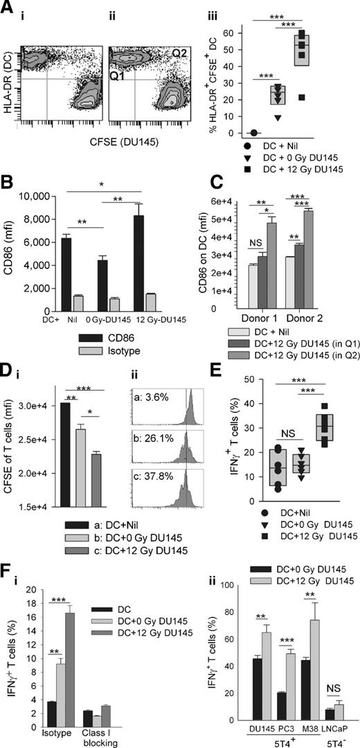 Cross-Presentation of the Oncofetal Tumor Antigen 5T4 from Irradiated ...