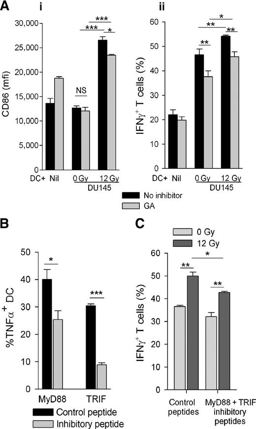 Cross-Presentation of the Oncofetal Tumor Antigen 5T4 from Irradiated ...