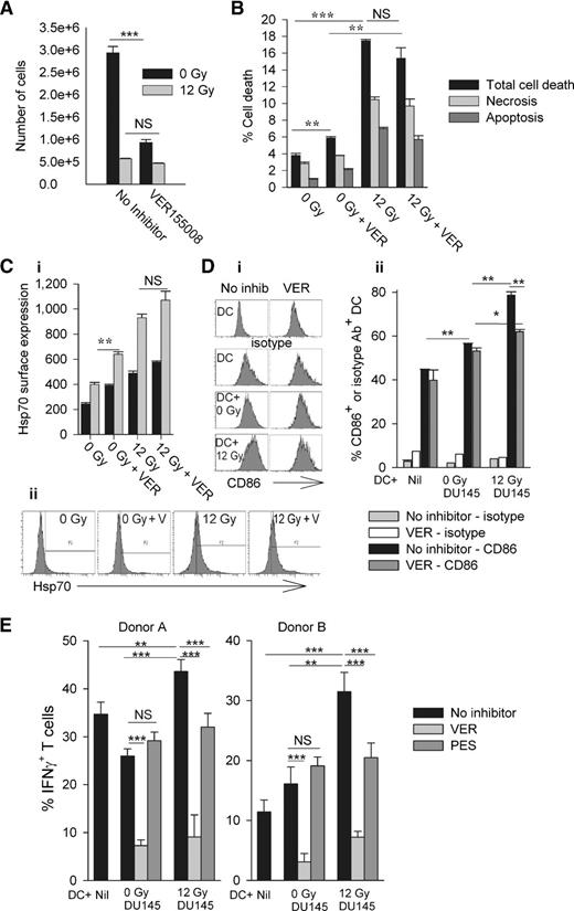 Cross-Presentation of the Oncofetal Tumor Antigen 5T4 from Irradiated ...