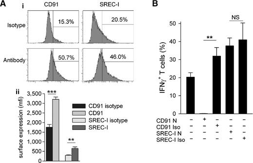 Cross-Presentation of the Oncofetal Tumor Antigen 5T4 from Irradiated ...