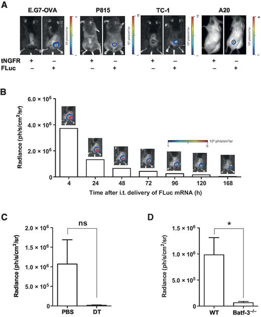 Intratumoral Delivery of TriMix mRNA Results in T-cell Activation by ...