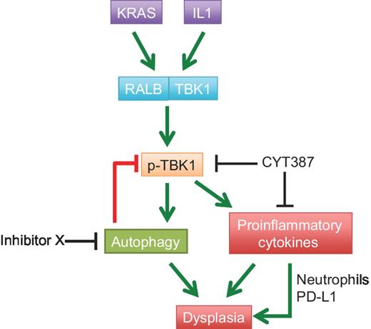 Autophagy Inhibition Dysregulates TBK1 Signaling and Promotes ...