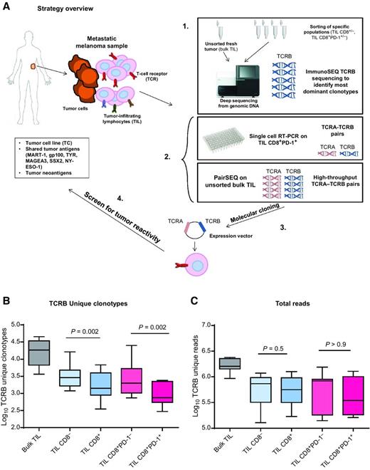 Tumor- and Neoantigen-Reactive T-cell Receptors Can Be Identified Based on Their Frequency in ...