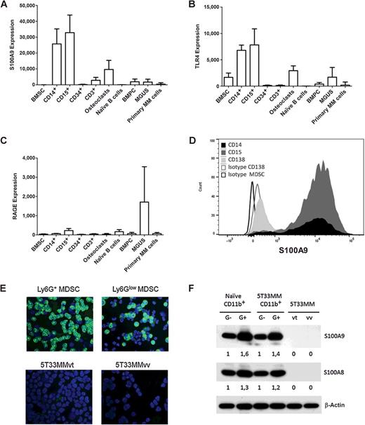 Extracellular S100A9 Protein in Bone Marrow Supports Multiple Myeloma ...