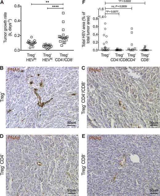 Treg Depletion Licenses T Cell–Driven HEV Neogenesis and Promotes Tumor ...