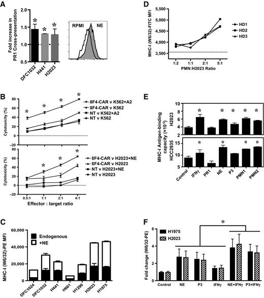 Serine Proteases Enhance Immunogenic Antigen Presentation on Lung ...