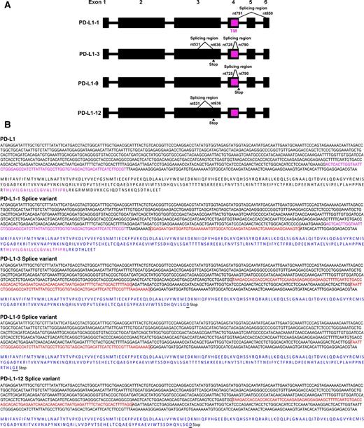 Soluble PD-L1 as a Biomarker in Malignant Melanoma Treated with Checkpoint Blockade | Cancer ...
