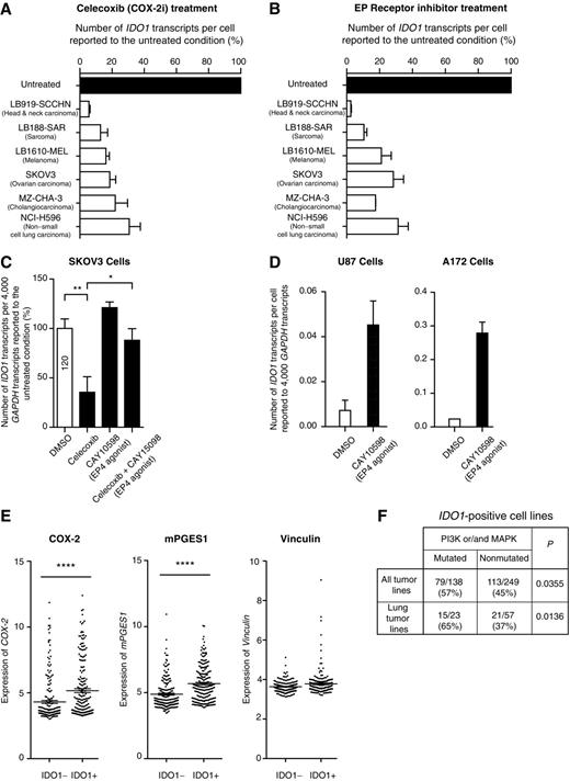 Constitutive IDO1 Expression in Human Tumors Is Driven by ...