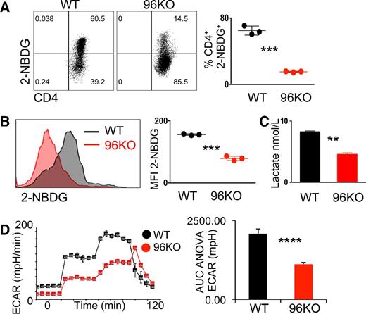 Modulation of Endoplasmic Reticulum Stress Controls CD4+ T-cell ...