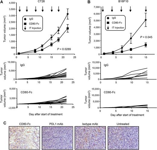 Soluble CD80 Protein Delays Tumor Growth and Promotes Tumor ...