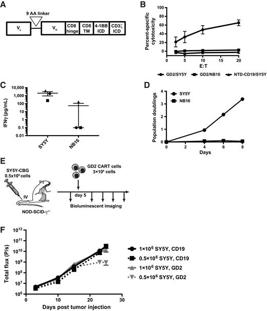 High-Affinity GD2-Specific CAR T Cells Induce Fatal Encephalitis in a ...