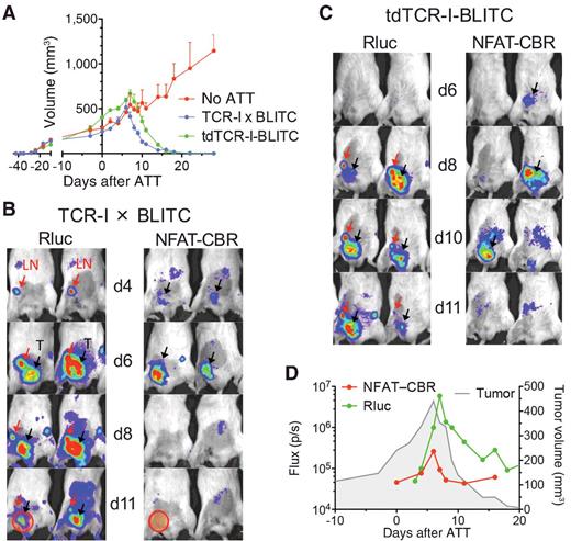 A Transgenic Dual-Luciferase Reporter Mouse for Longitudinal and ...