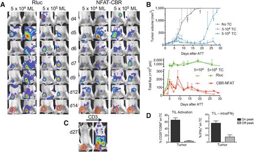 A Transgenic Dual-Luciferase Reporter Mouse for Longitudinal and ...