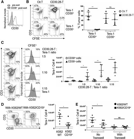 CD30-Redirected Chimeric Antigen Receptor T Cells Target CD30+ and CD30 ...