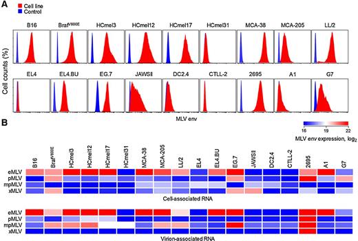 Restoration of Endogenous Retrovirus Infectivity Impacts Mouse Cancer ...