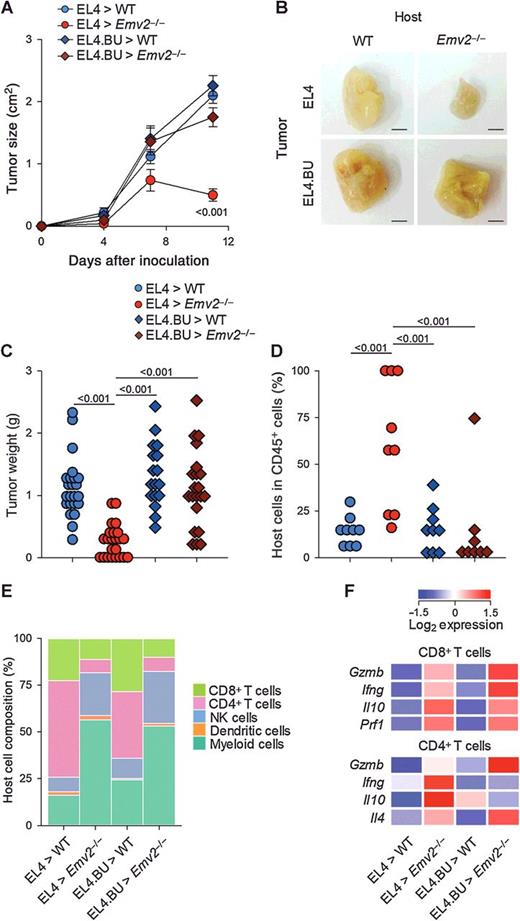Restoration of Endogenous Retrovirus Infectivity Impacts Mouse Cancer ...