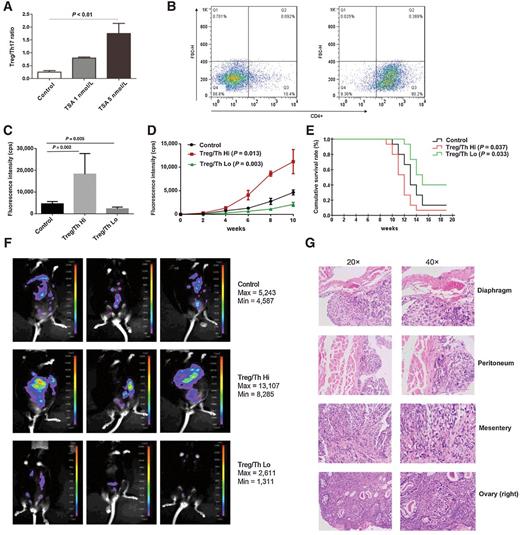 Exosomes Released from Tumor-Associated Macrophages Transfer miRNAs ...