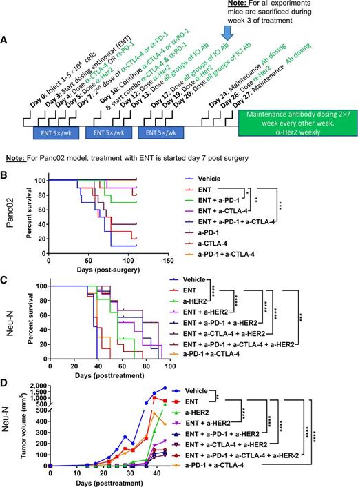 Entinostat Converts Immune-Resistant Breast and Pancreatic Cancers into ...