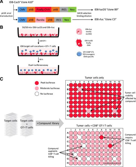 A High-Throughput Immune-Oncology Screen Identifies EGFR Inhibitors as ...