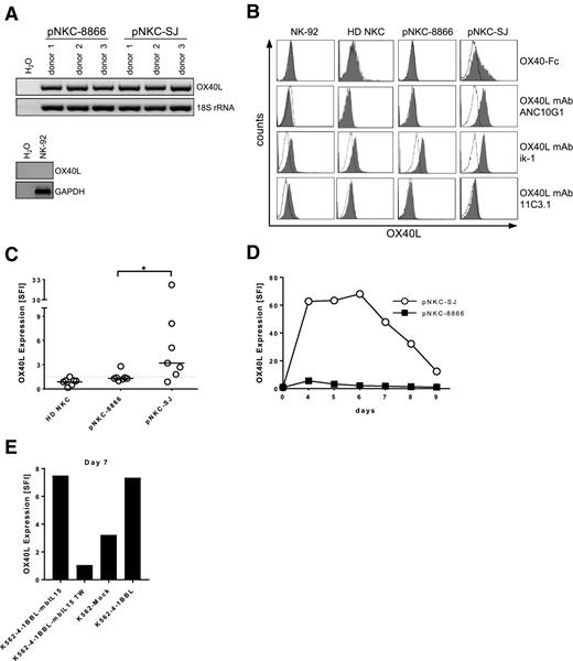 The Immune Checkpoint Modulator OX40 and Its Ligand OX40L in NK-Cell ...