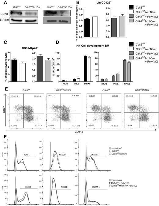 NK Cell–Specific CDK8 Deletion Enhances Antitumor Responses | Cancer ...