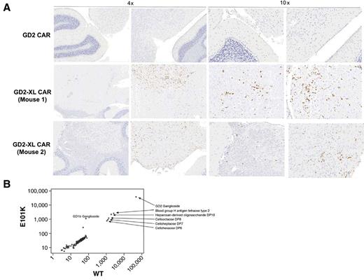 Neurotoxicity Associated with a High-Affinity GD2 CAR—Response | Cancer ...