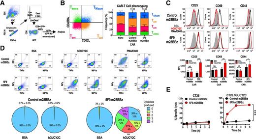 Human GUCY2C-Targeted Chimeric Antigen Receptor (CAR)-Expressing T ...