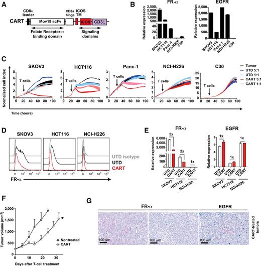 Improving CART-Cell Therapy of Solid Tumors with Oncolytic Virus–Driven ...