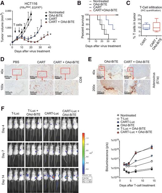 Improving CART-Cell Therapy of Solid Tumors with Oncolytic Virus–Driven ...