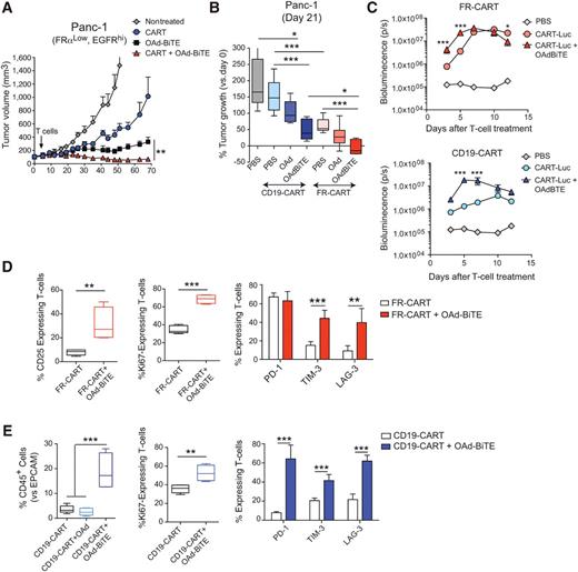 Improving CART-Cell Therapy of Solid Tumors with Oncolytic Virus–Driven ...