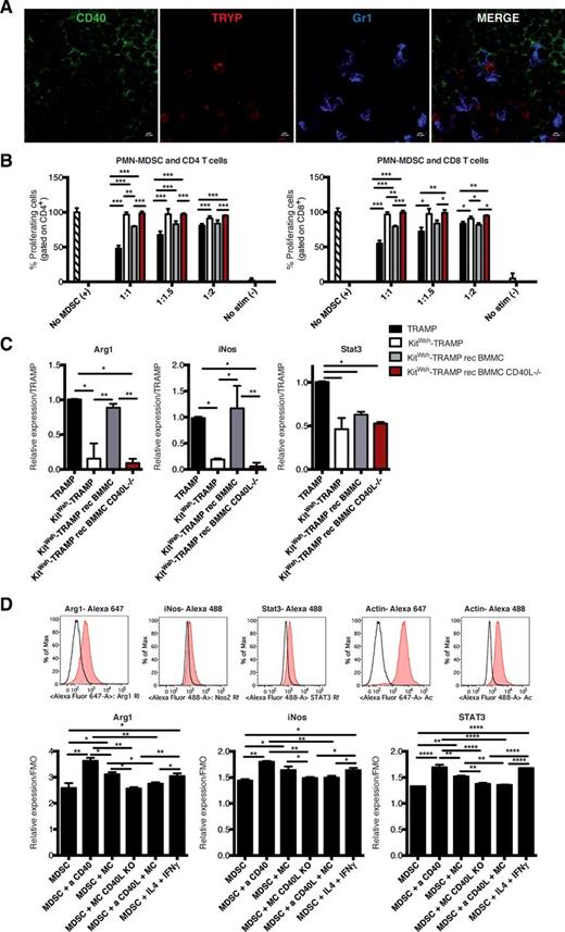 Cross-Talk between Myeloid-Derived Suppressor Cells and Mast Cells ...