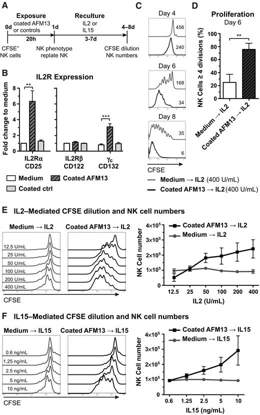 CD16A Activation of NK Cells Promotes NK Cell Proliferation and Memory ...