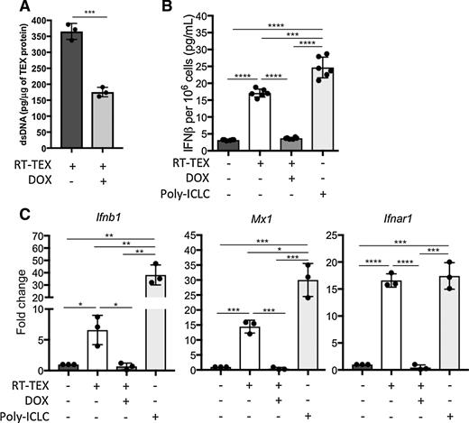 Exosomes Shuttle TREX1-Sensitive IFN-Stimulatory dsDNA from Irradiated ...