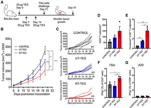 Exosomes Shuttle TREX1-Sensitive IFN-Stimulatory dsDNA from Irradiated ...