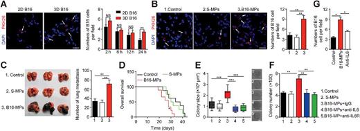 Circulating Tumor Microparticles Promote Lung Metastasis by ...