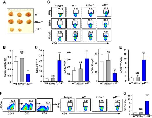 IL35 Hinders Endogenous Antitumor T-cell Immunity and Responsiveness to ...