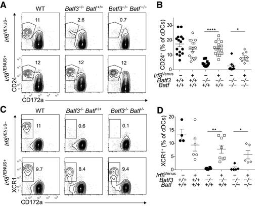 Batf3-Dependent Genes Control Tumor Rejection Induced by Dendritic ...
