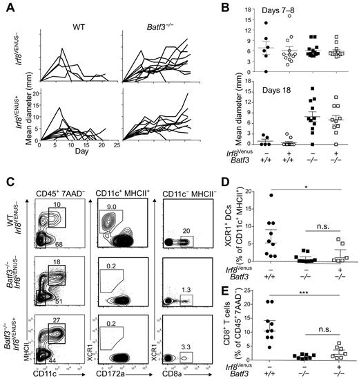 Batf3-Dependent Genes Control Tumor Rejection Induced by Dendritic ...