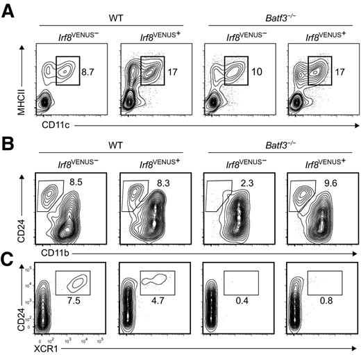Batf3-Dependent Genes Control Tumor Rejection Induced by Dendritic ...