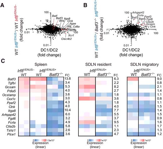 Batf3-Dependent Genes Control Tumor Rejection Induced by Dendritic ...