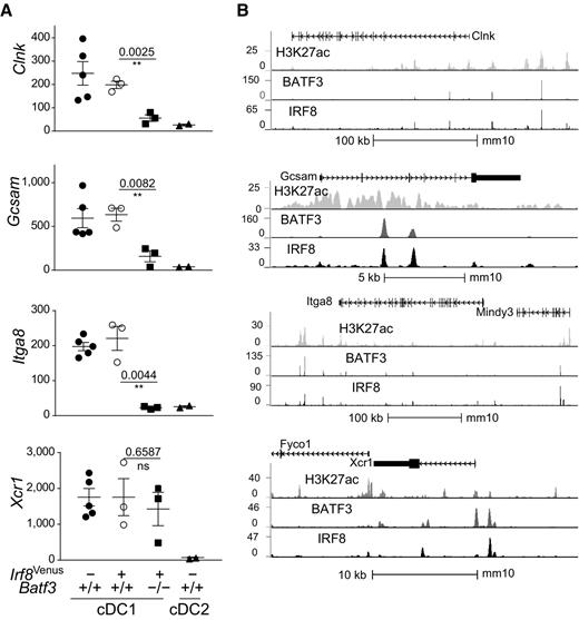 Batf3-Dependent Genes Control Tumor Rejection Induced by Dendritic ...