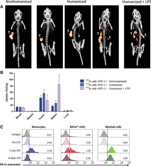 PD-L1 microSPECT/CT Imaging for Longitudinal Monitoring of PD-L1 ...