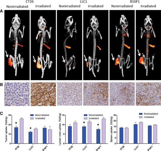 PD-L1 microSPECT/CT Imaging for Longitudinal Monitoring of PD-L1 ...