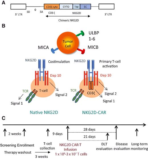 Phase I Trial of Autologous CAR T Cells Targeting NKG2D Ligands in ...