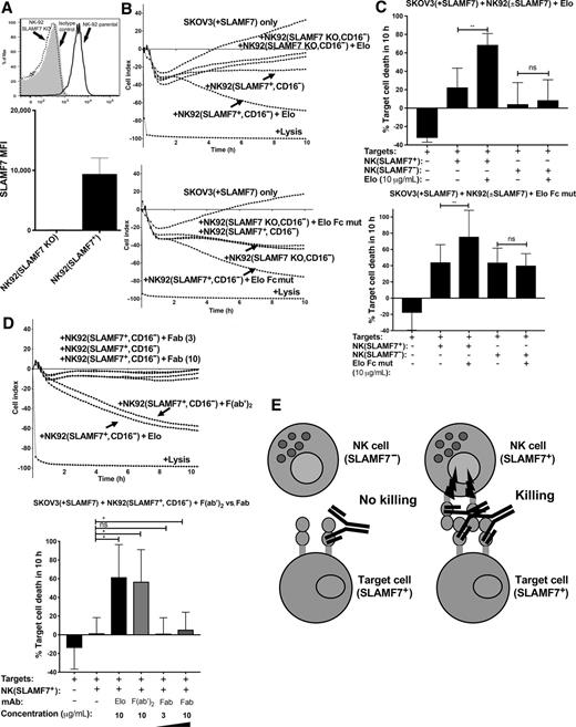 Enhanced SLAMF7 Homotypic Interactions by Elotuzumab Improves NK Cell ...
