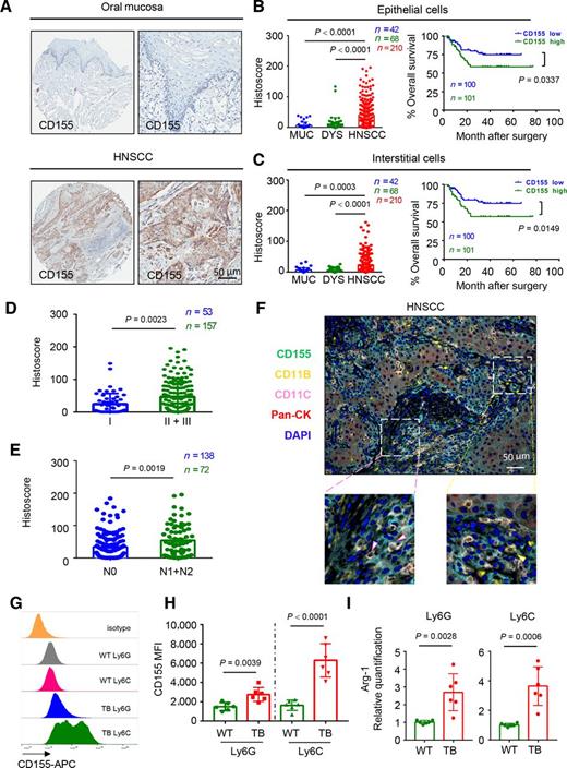 Blockade of TIGIT/CD155 Signaling Reverses T-cell Exhaustion and ...