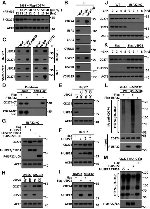 USP22 Deubiquitinates CD274 to Suppress Anticancer Immunity | Cancer ...