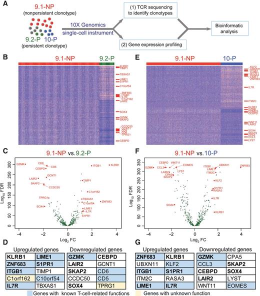 Single-Cell Transcriptome Analysis Reveals Gene Signatures Associated ...