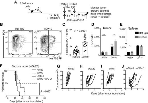 Late-Stage Tumor Regression after PD-L1 Blockade Plus a Concurrent OX40 ...